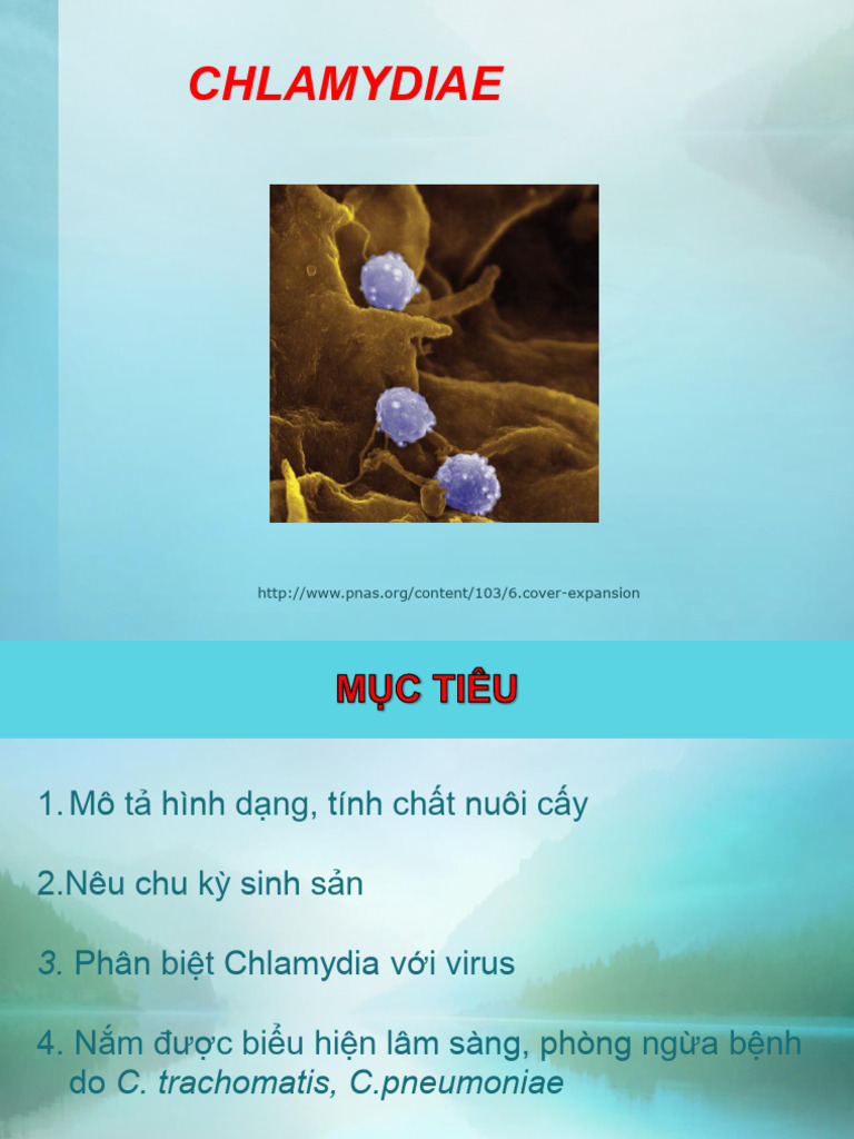 (Bỏ) Chlamydia - 2018 | PDF