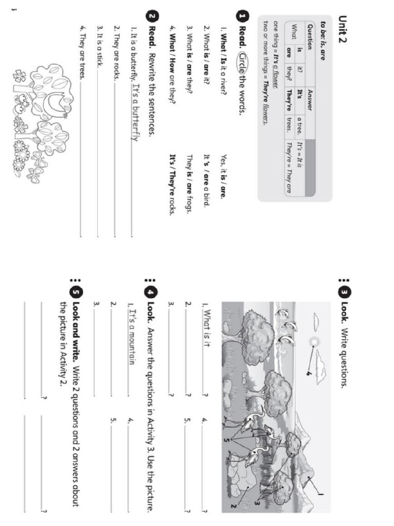 Grammar Unit 2 | PDF