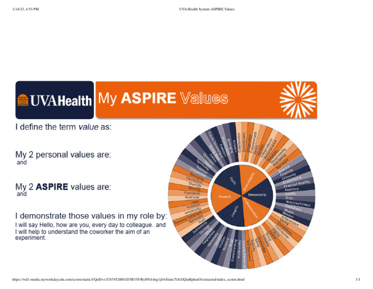 UVA Health System ASPIRE Values | PDF