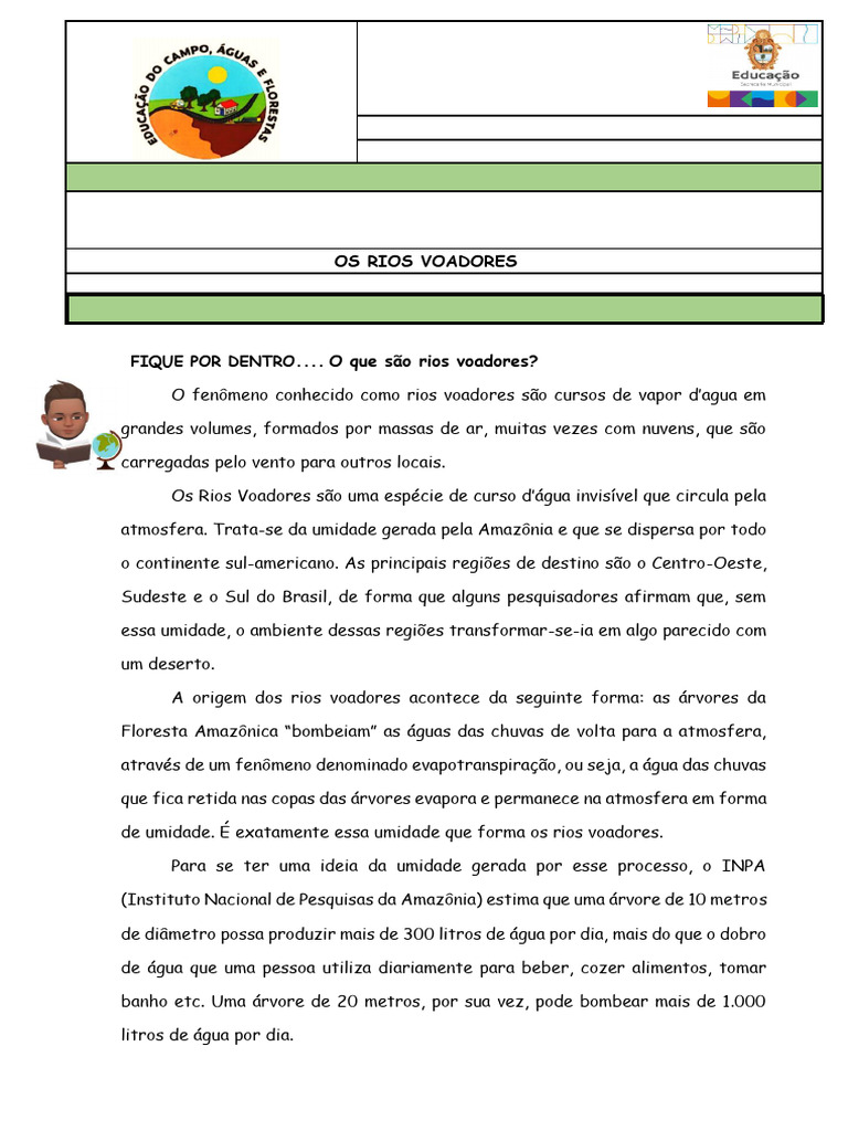 Texto Os Rios Voadores PDF | PDF