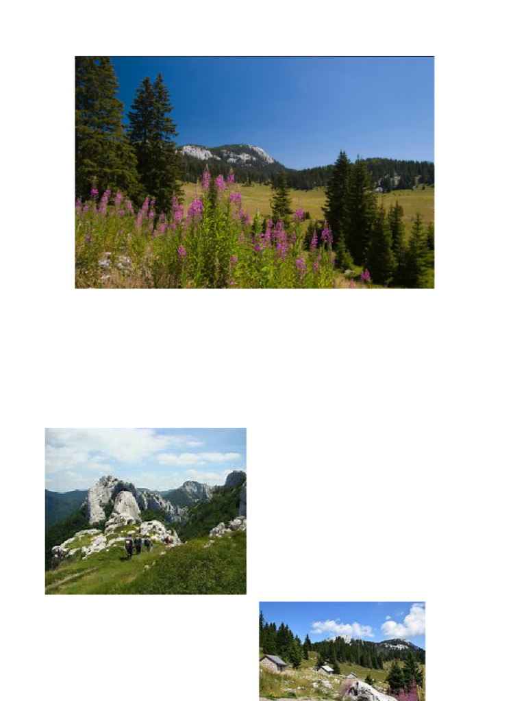 Velebit 1 | PDF