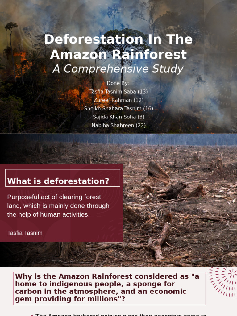 Deforestation in the Amazon Rainforest Geo project | PDF