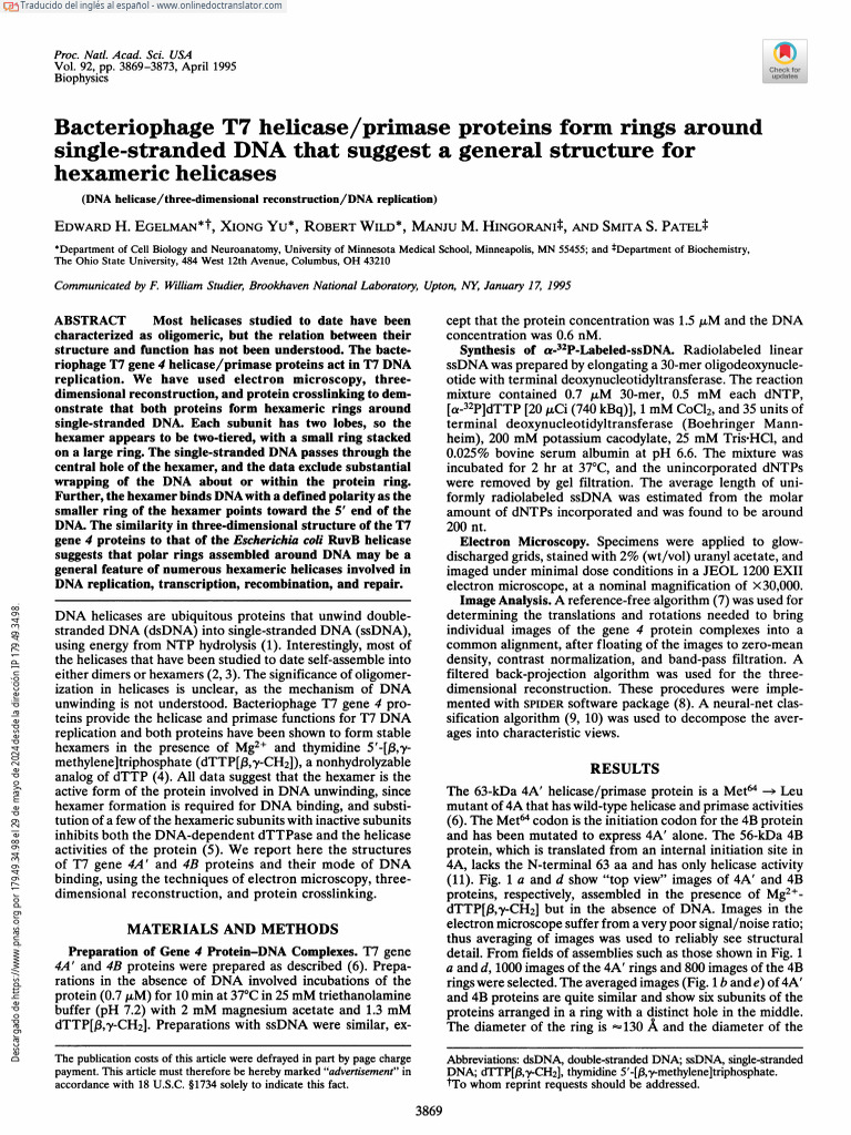 Egelman Et Al 1995 Bacteriophage t7 Helicase Primase Proteins Form ...