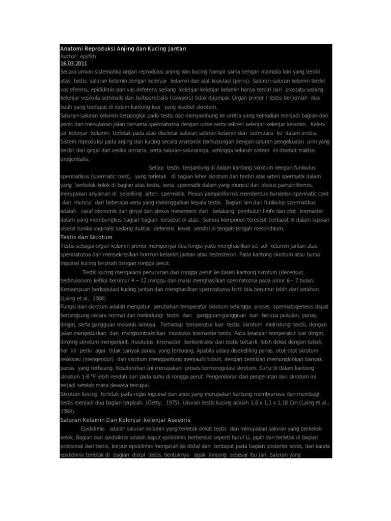 Anatomi Reproduksi Anjing Dan Kucing Jantan | PDF