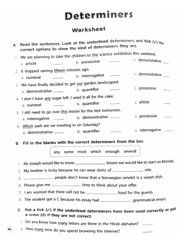 Determiners Worksheet | PDF