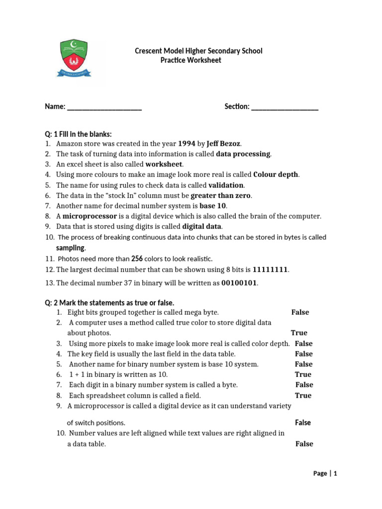 Computer Practice Worksheet-1 | PDF