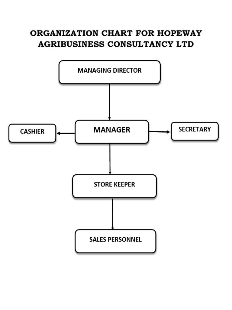 Flow Chart Sample | PDF