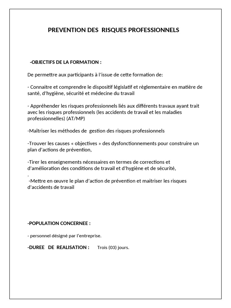 Prevention Des Risques Professionnels | PDF