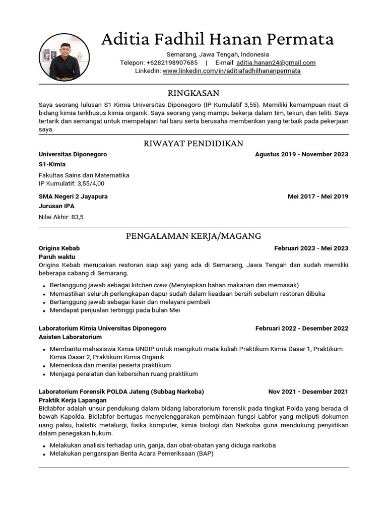CV - Aditia F H Permata | PDF