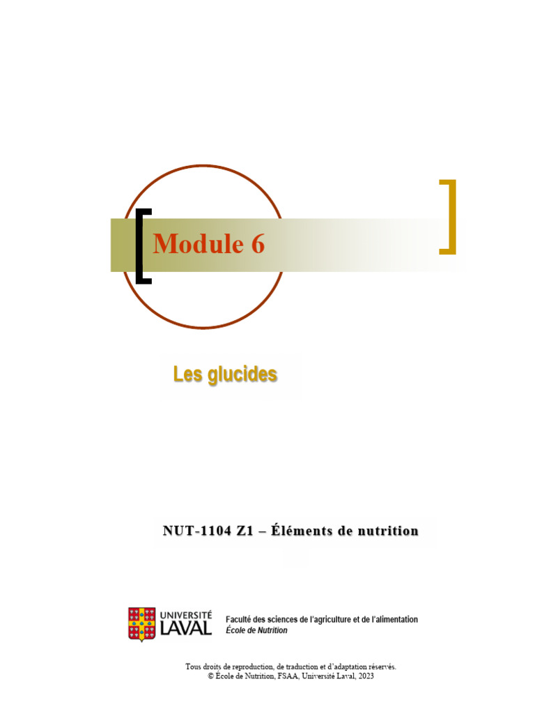 Glucides | PDF