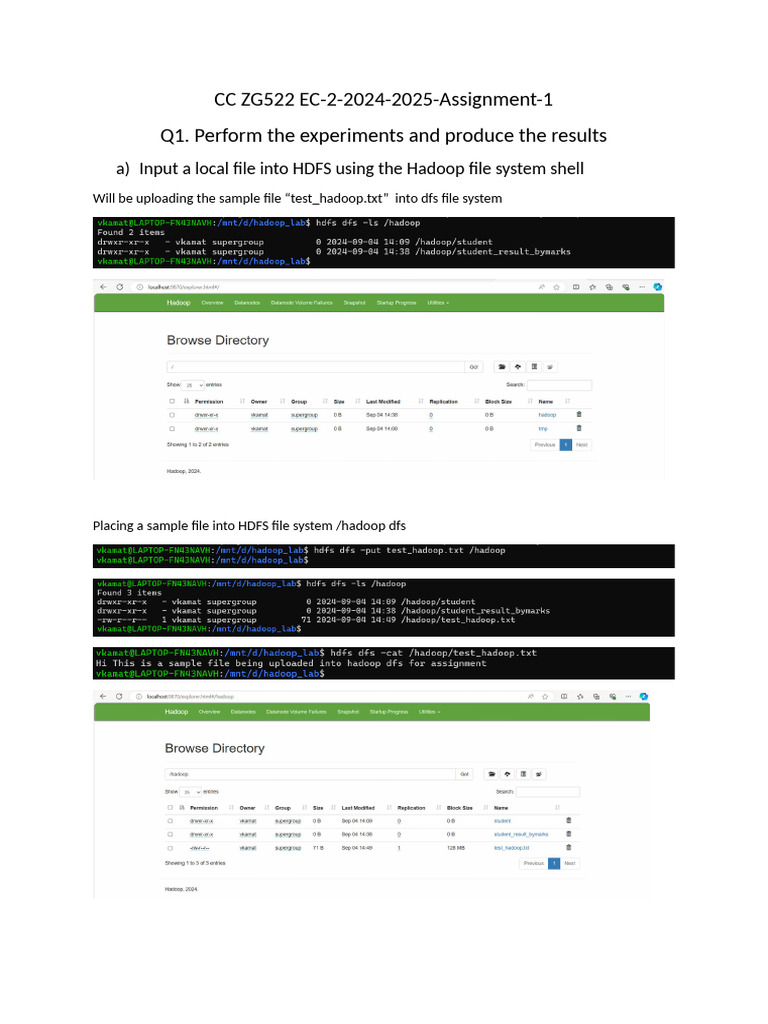 Big Data Assignment Lab-1-Vishwas Kamat-2024mt03091 | PDF