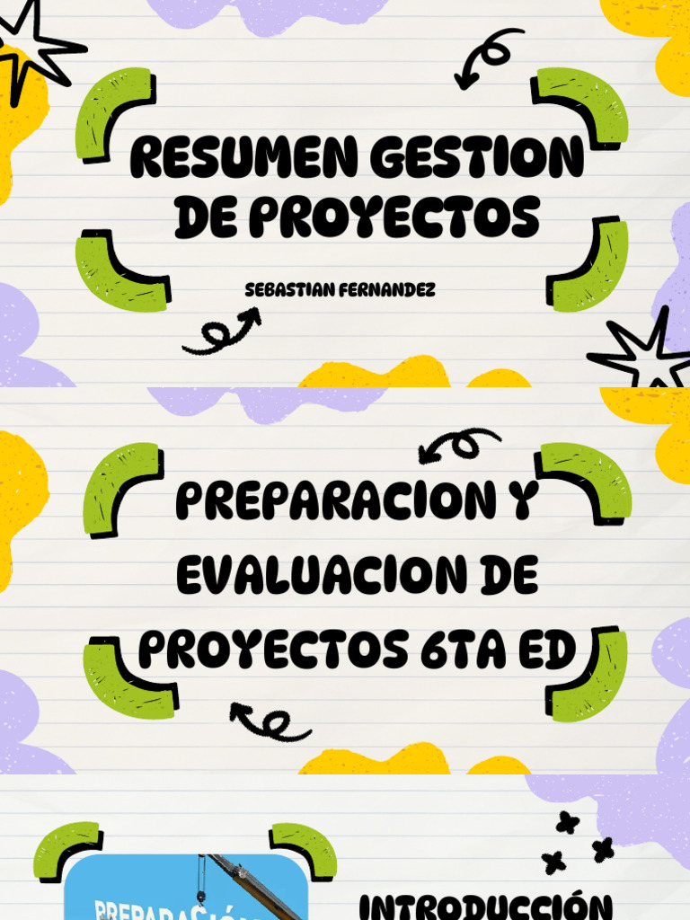 Resumen Gestion de Proyectos | PDF