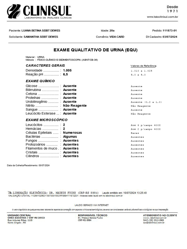 Exame Qualitativo de Urina (Equ) : Caracteres Gerais | PDF