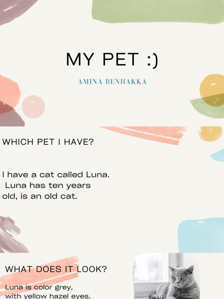 My pet ) (1) | PDF