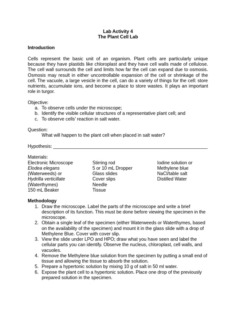 4.the Plant Cell | PDF