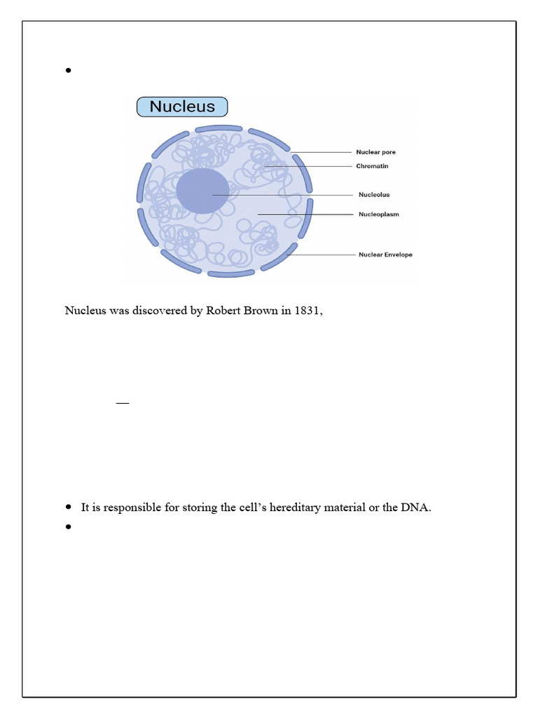 Structure of a nucleus | PDF