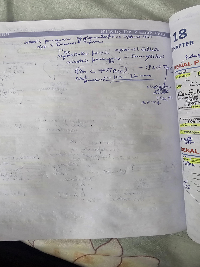 Integrated Renal BTR | PDF