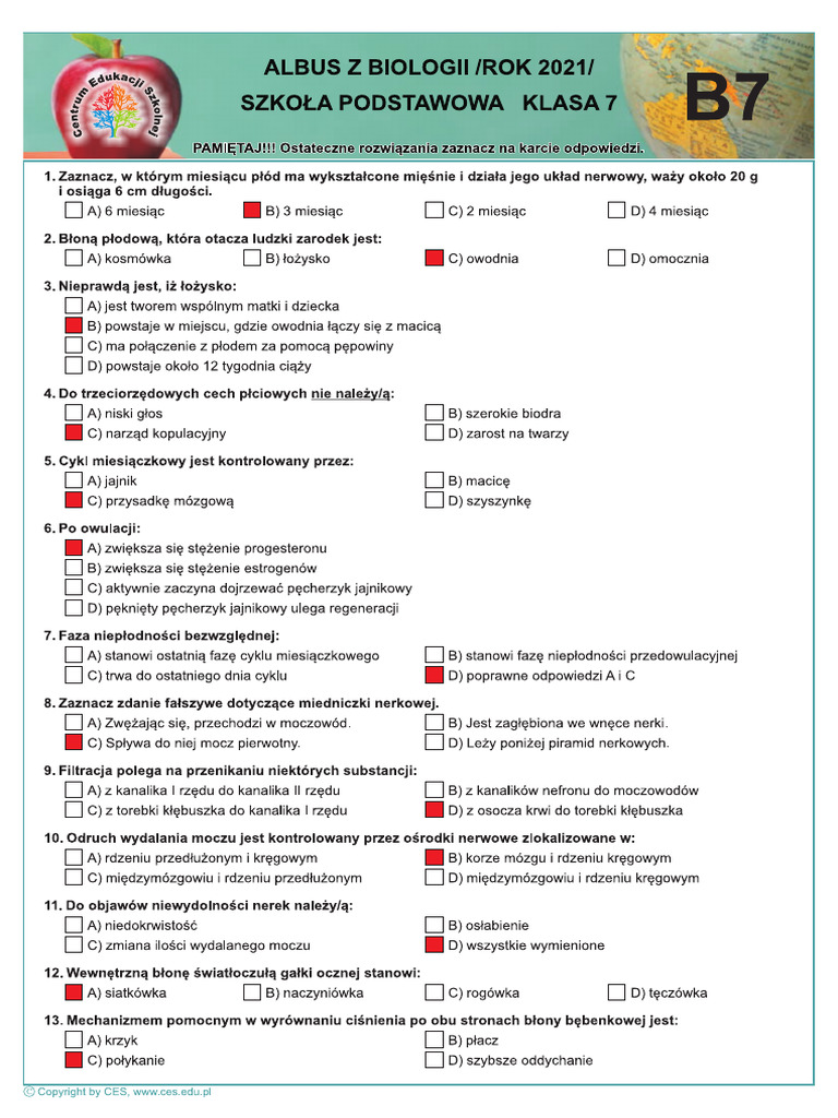 Albus B7 2021 Klucz | PDF