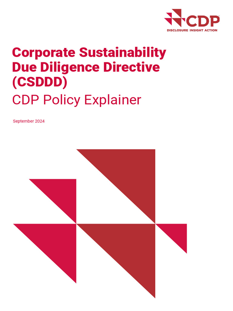 CDP CSDDD Policy Explainer | PDF