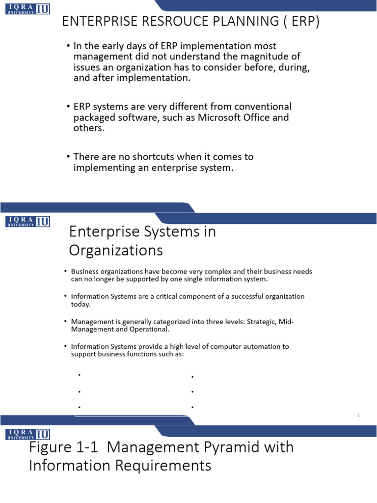Enterprise Resrouce Planning (Erp) | PDF