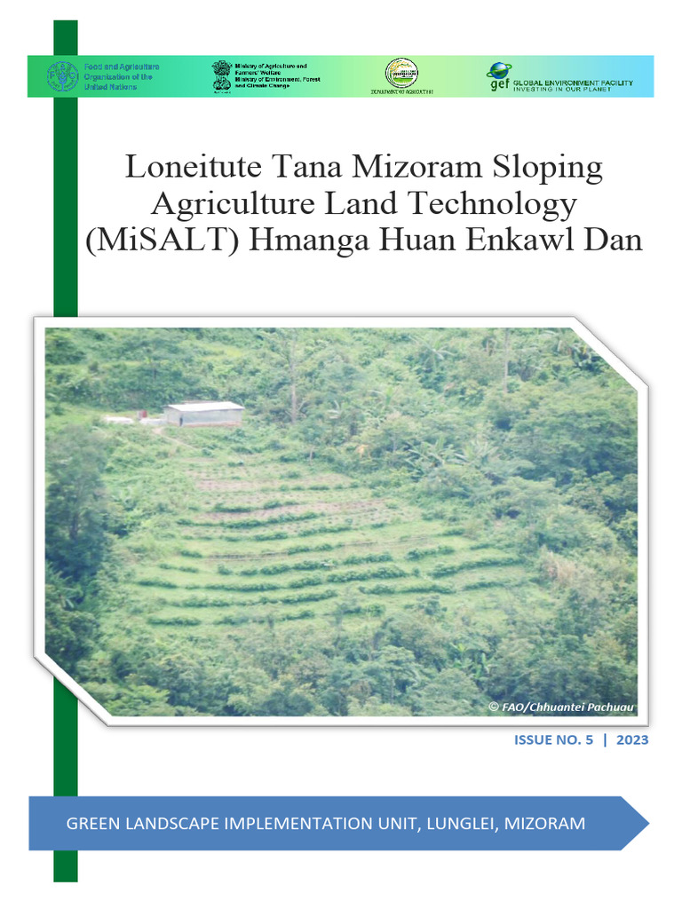 Misalt MZ Mizo | PDF