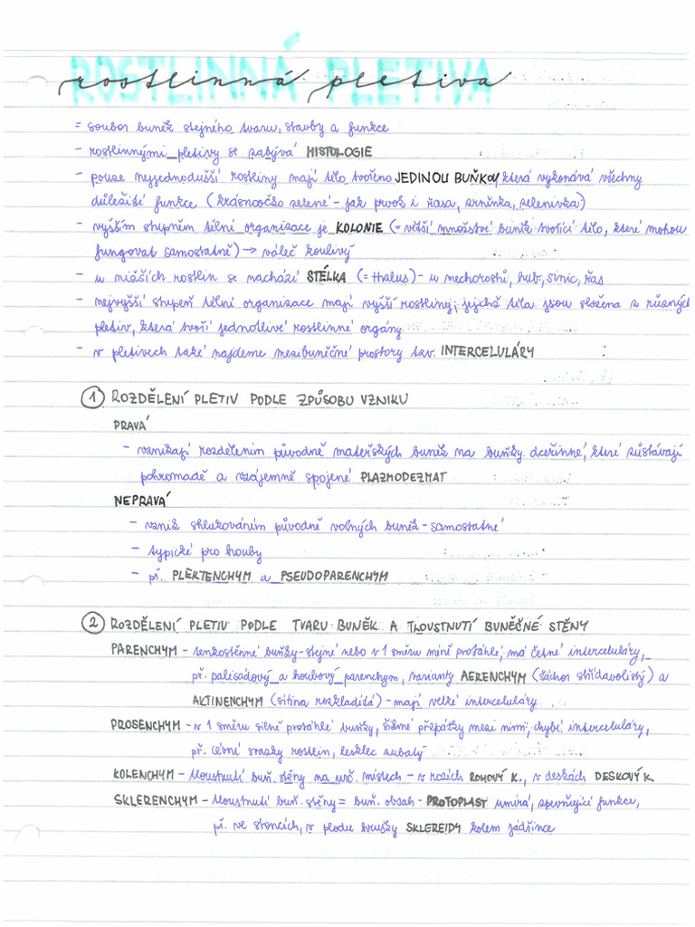 Rostlinná Pletiva | PDF