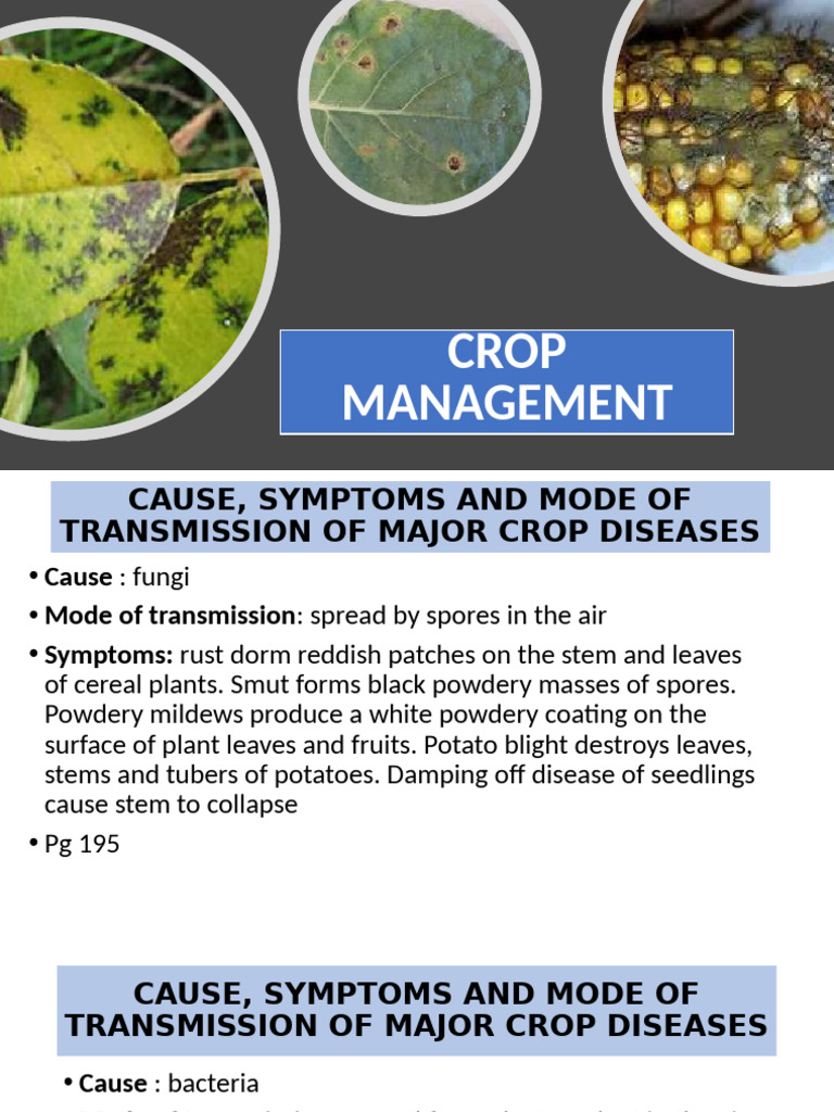 Crop Disease Management Overview | PDF | Food Preservation | Home & Garden