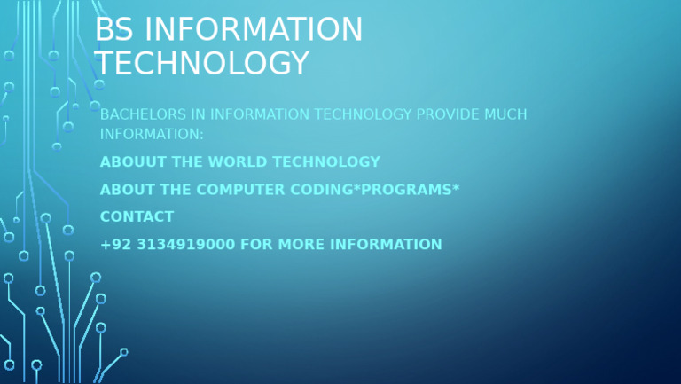 Bs Information Technology | PDF