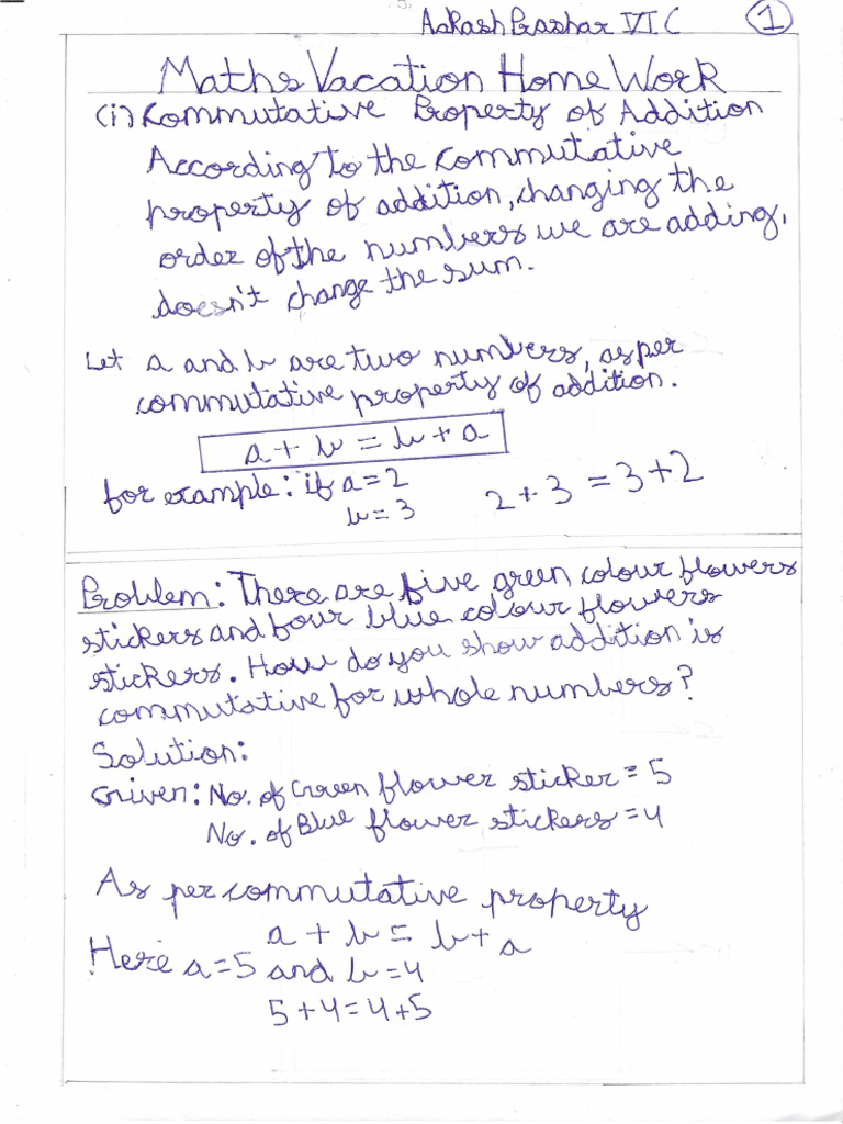Aakash Maths Vacation HW | PDF