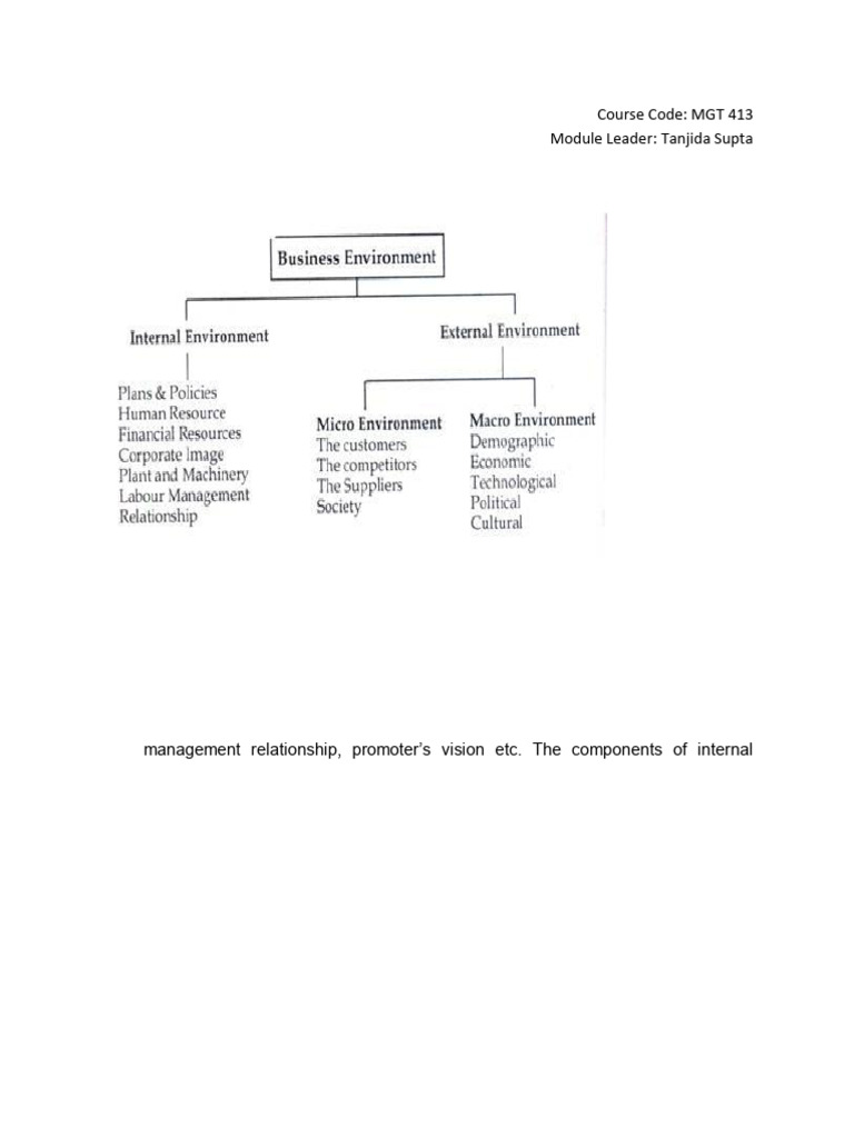 Business Environment | PDF