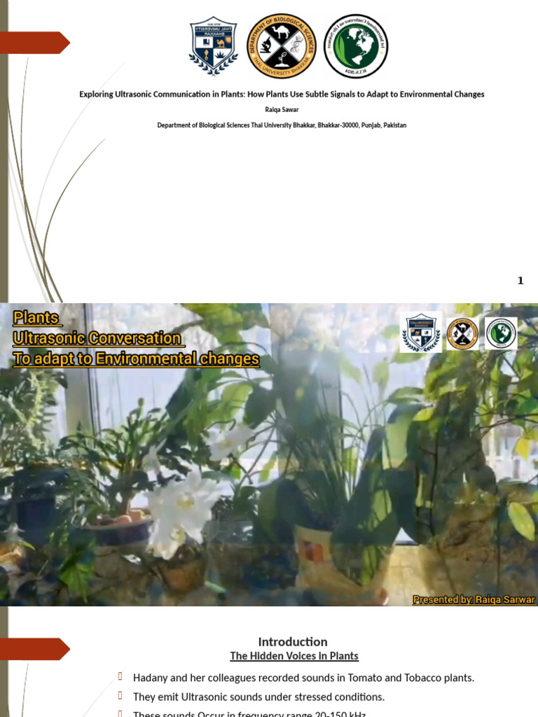 Ultrasonic Sounds in Plants | PDF