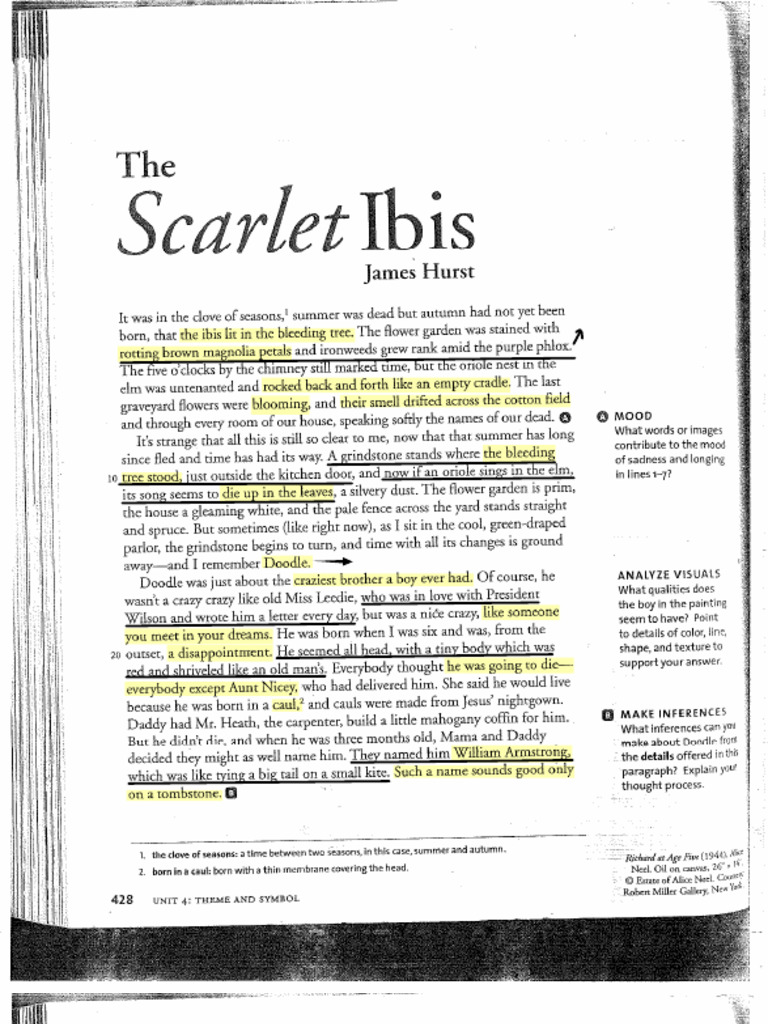 The Scarlet Ibis 2 | PDF