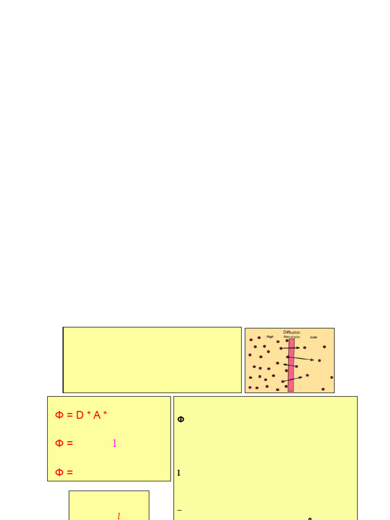 C 1 Transport Merged | PDF