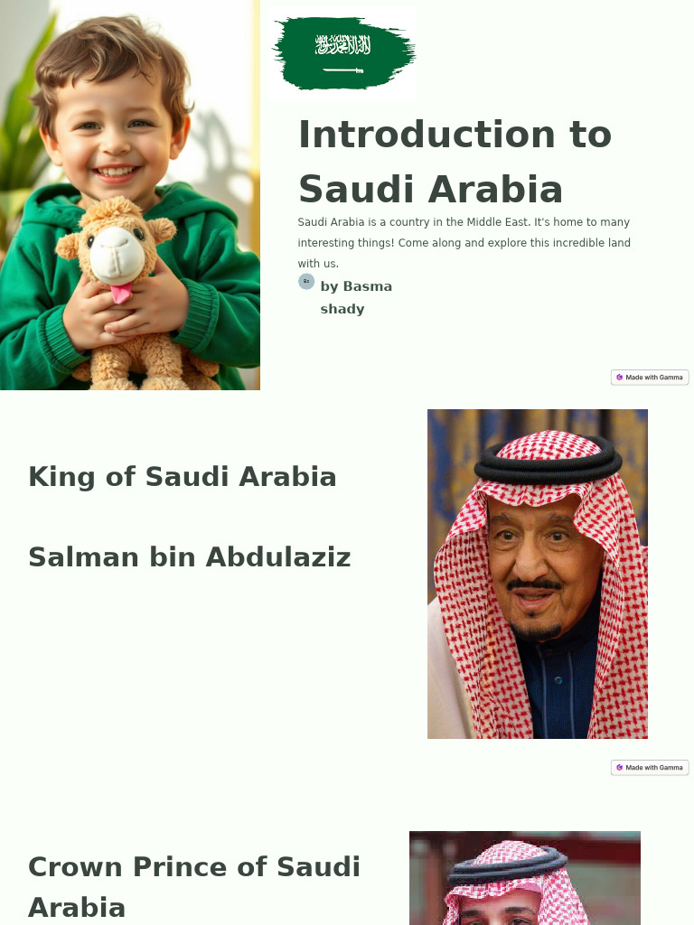 Saudi-Arabia - Facts | PDF