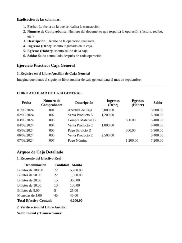 libro auxiliar | PDF