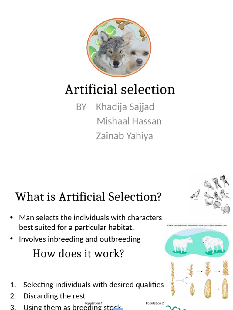 Artificial Selection | PDF