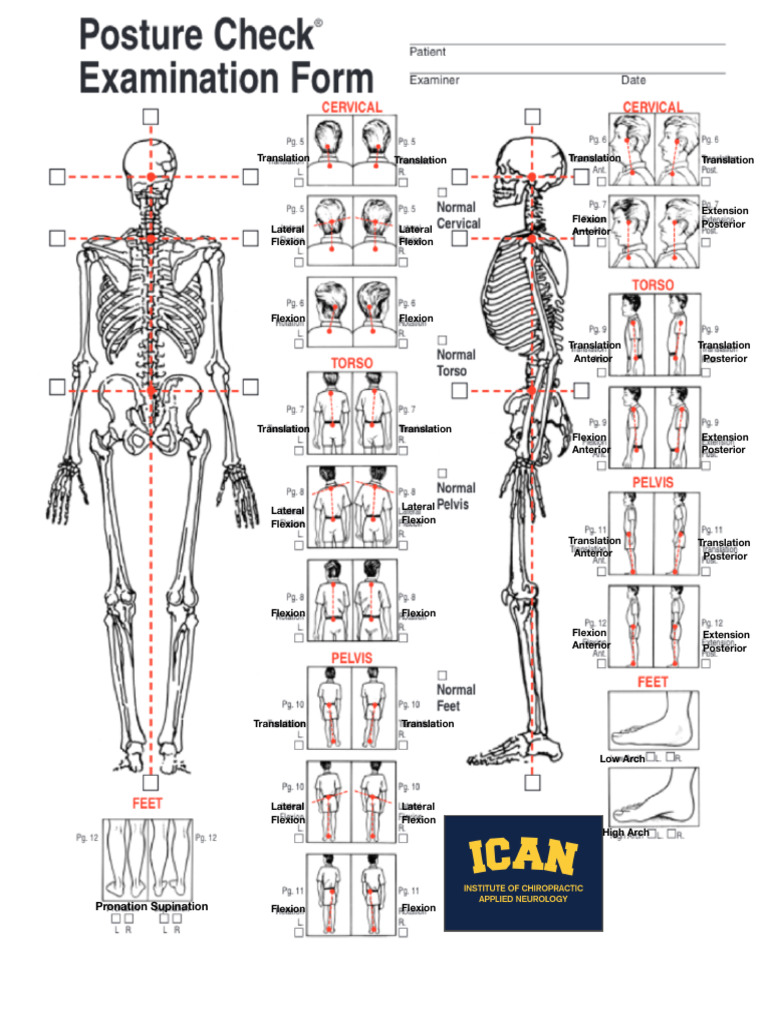 Posture Check Form - New | PDF