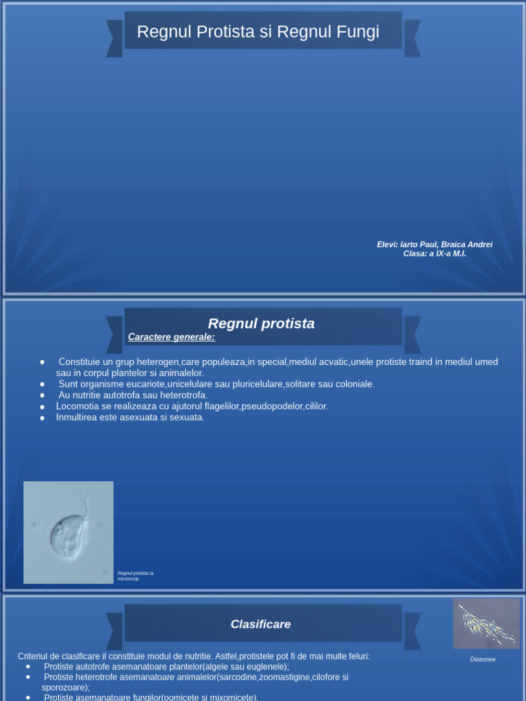 Regnul Protista Si Regnul Fungi | PDF