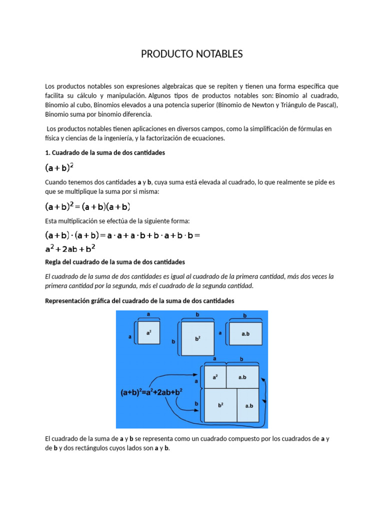 PRODUCTO NOTABLES | PDF