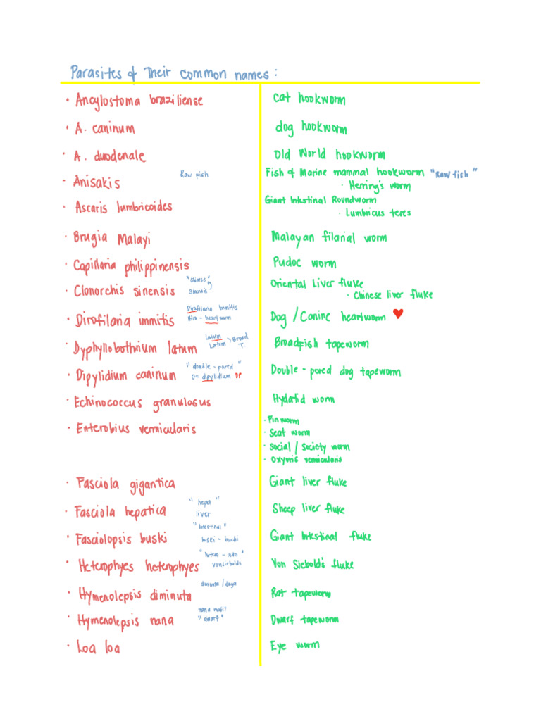 Parasites Common Names | PDF | Medical Specialties | Parasitology