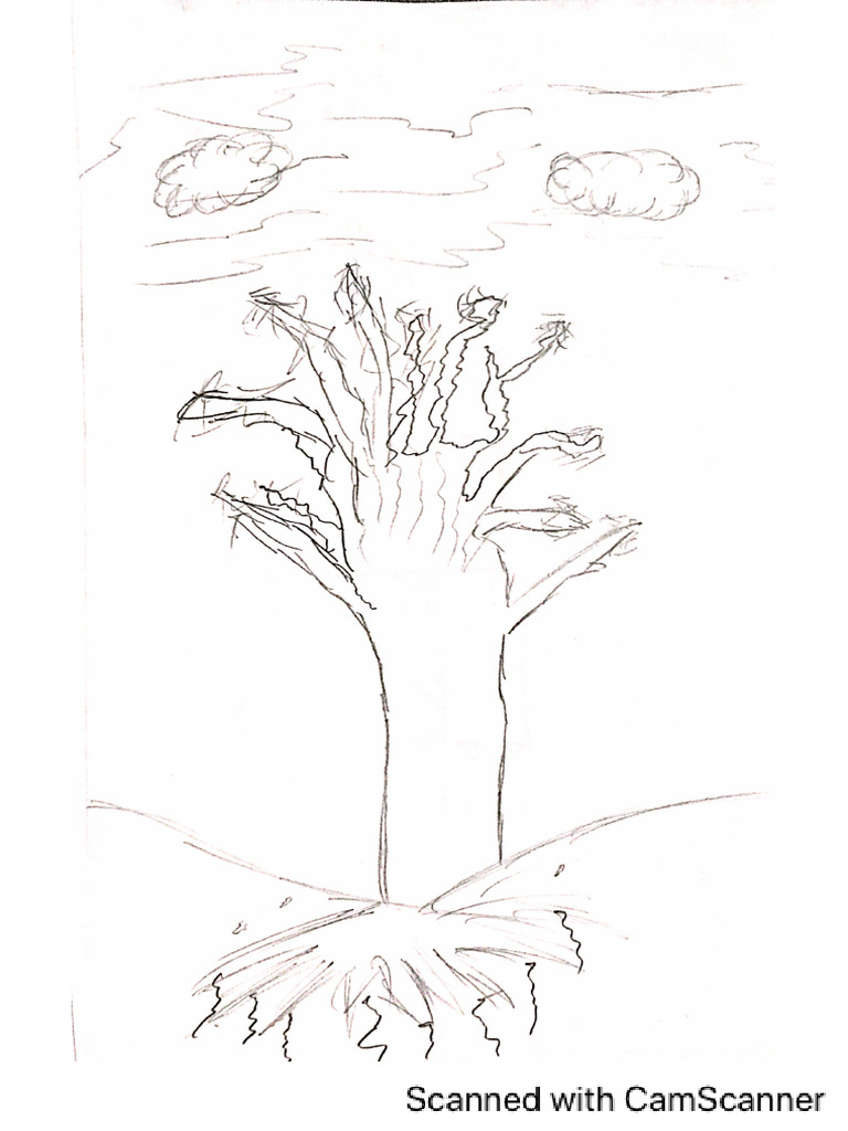 Test HTP (Human, tree, person) | PDF