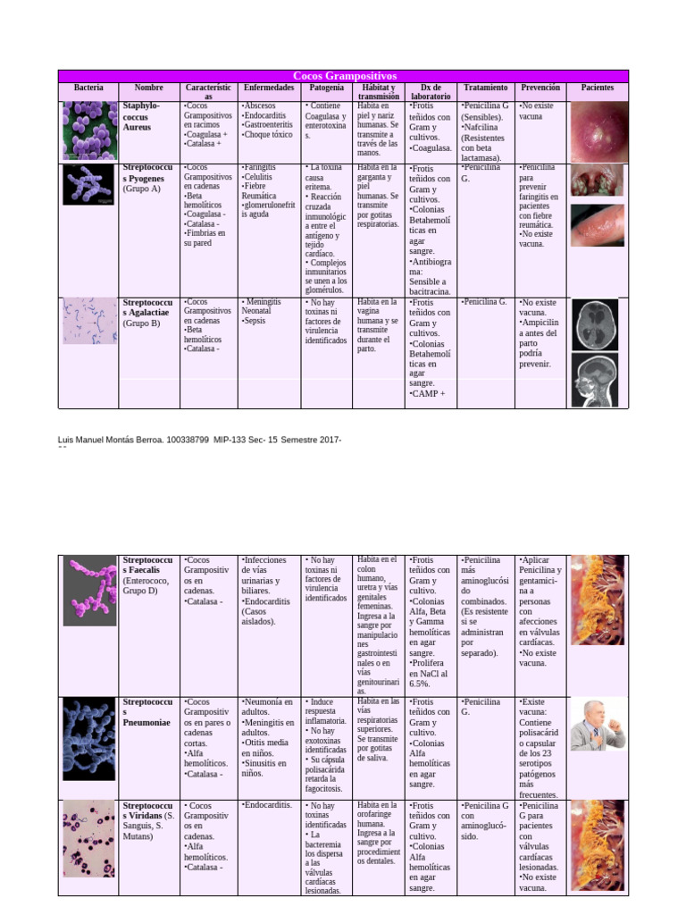 Tabla de Microorganismos LMMB | PDF