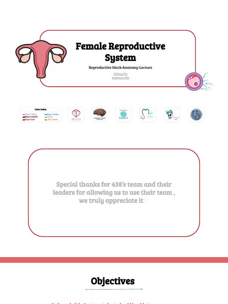 Female Reproductive System Anatomy Overview | PDF | Uterus | Vagina