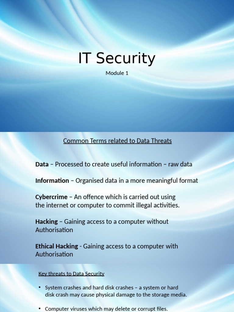 7-IT Security Presentation | PDF