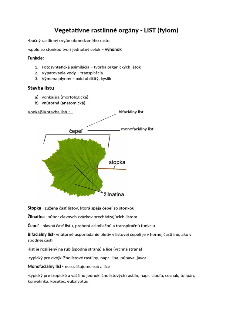 List Poznámky Sem | PDF