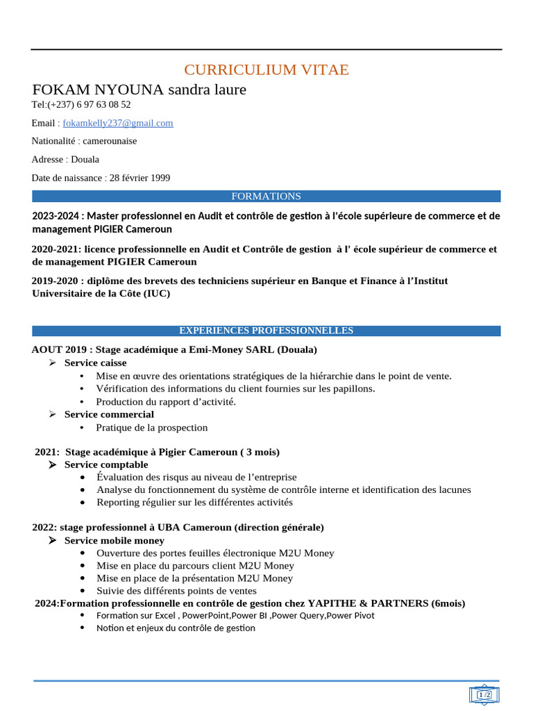 Copie de CV | PDF