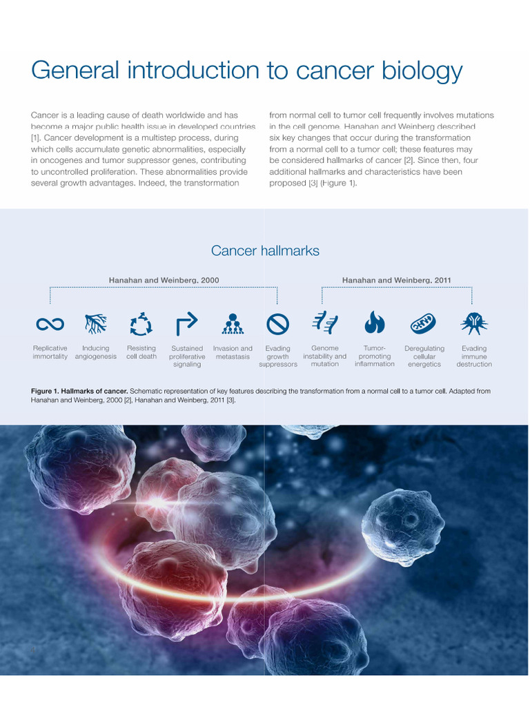 Hallmarks of Cancer | PDF