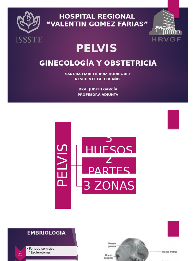 Exposicion Pelvis Osea Pdf