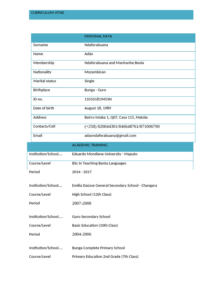 CV Mr. Ndaferabuana English | PDF