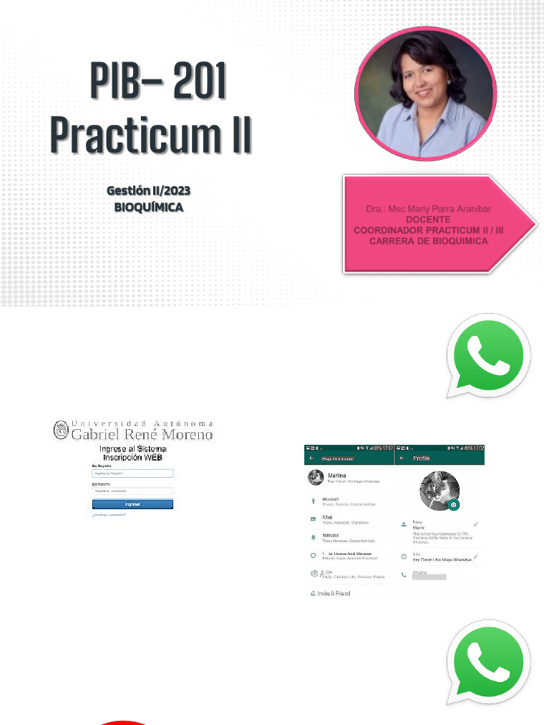 Pib 201 Presentacion Gestion 2-2023 | PDF